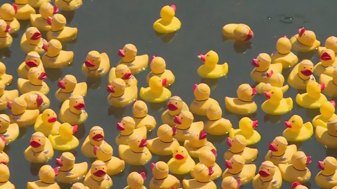 Monday is National Rubber Duck Day! | kens5.com