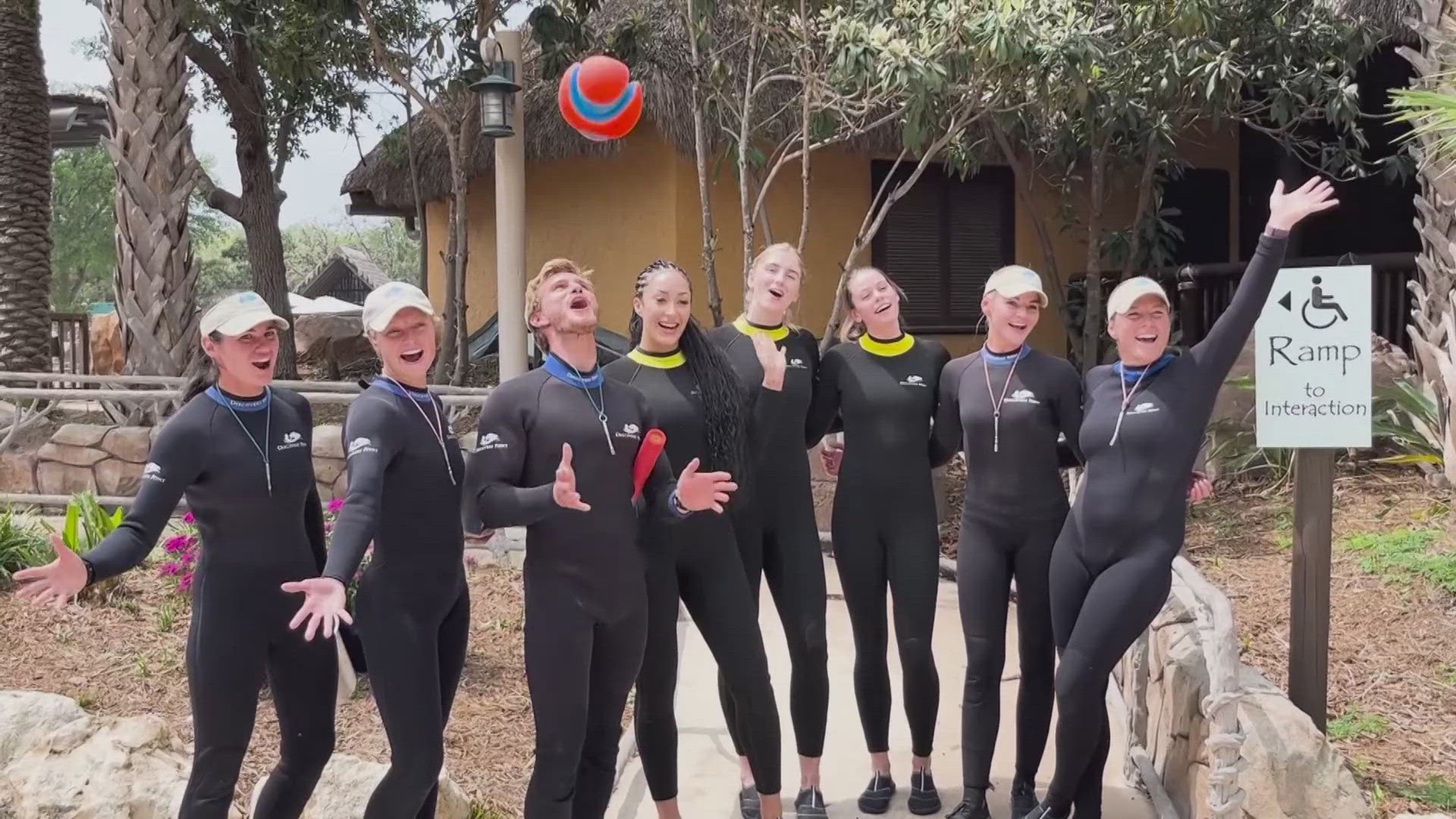College basketball stars dive into a dolphin adventure at SeaWorld San ...