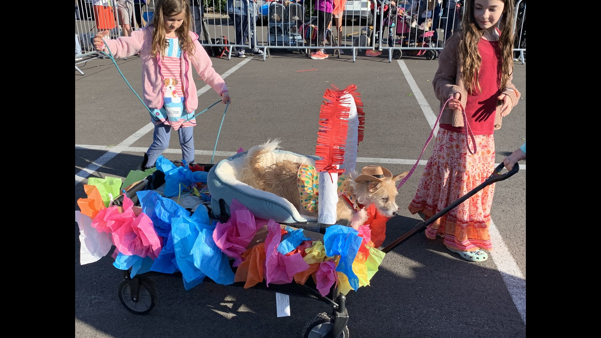 Fiesta Pooch Parade: The only parade for our four-legged friends ...