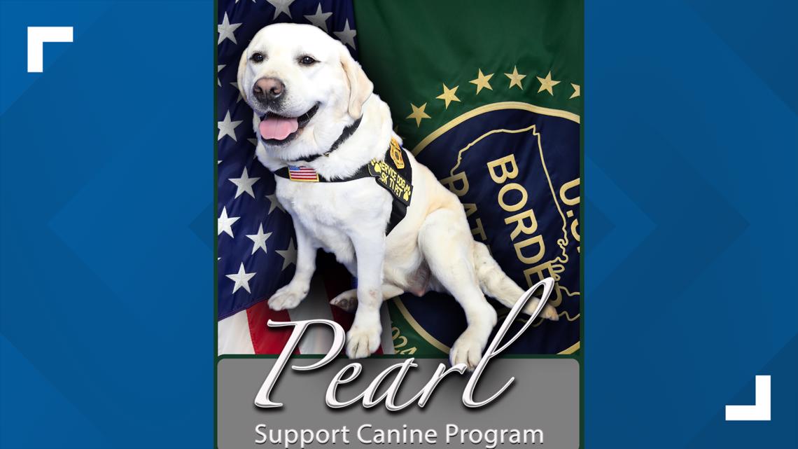 Laredo Border Patrol introduces first support K9 | kens5.com