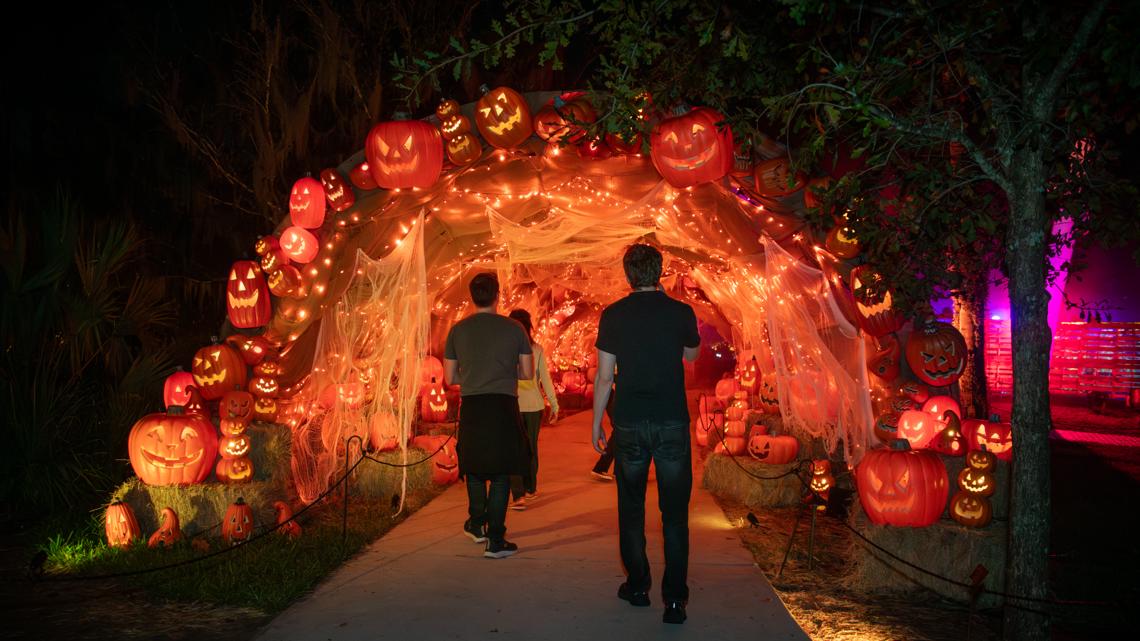Halloween-themed shows coming to San Antonio Botanical Garden | kens5.com