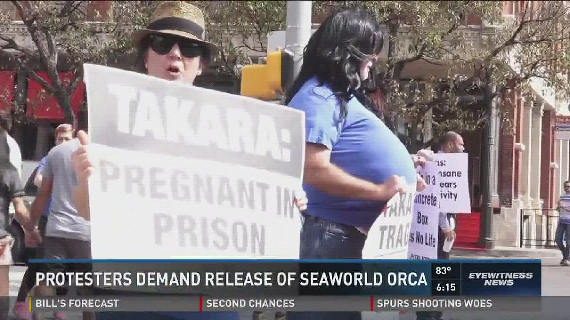 'Pregnant PETA Protesters' demand SeaWorld free killer whales | kens5.com