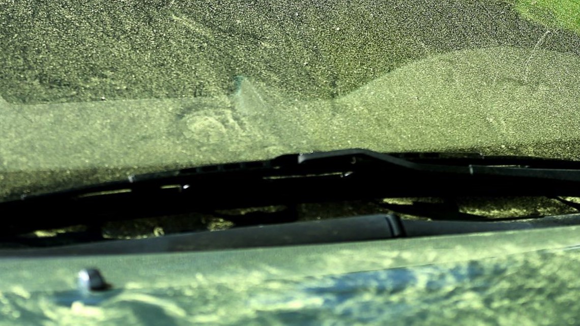 Oak pollen season is invading our noses and our cars | kens5.com