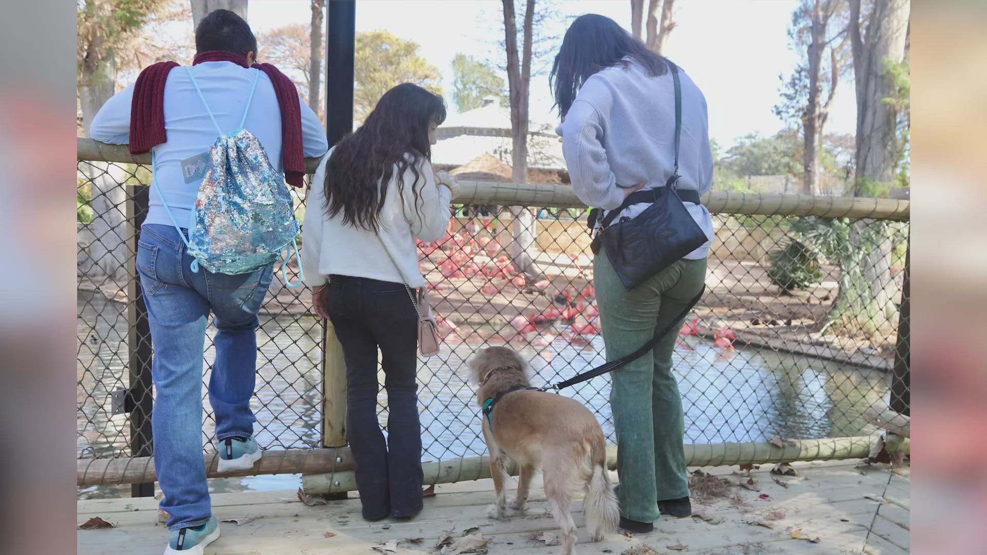 Teen accused in River Walk pepper-spray attack ordered detained | kens5.com