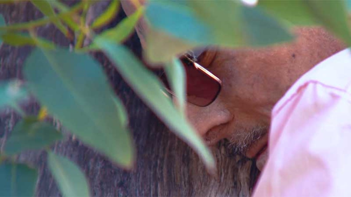 Texans say Miracle Tree helps people overcome medical challenges ...