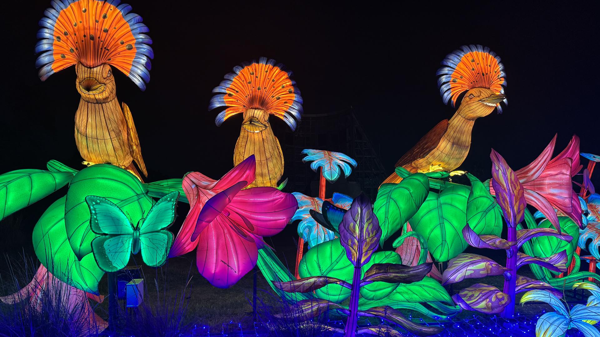 Illuminate returns with new glow as San Antonio Botanical Garden teases ...