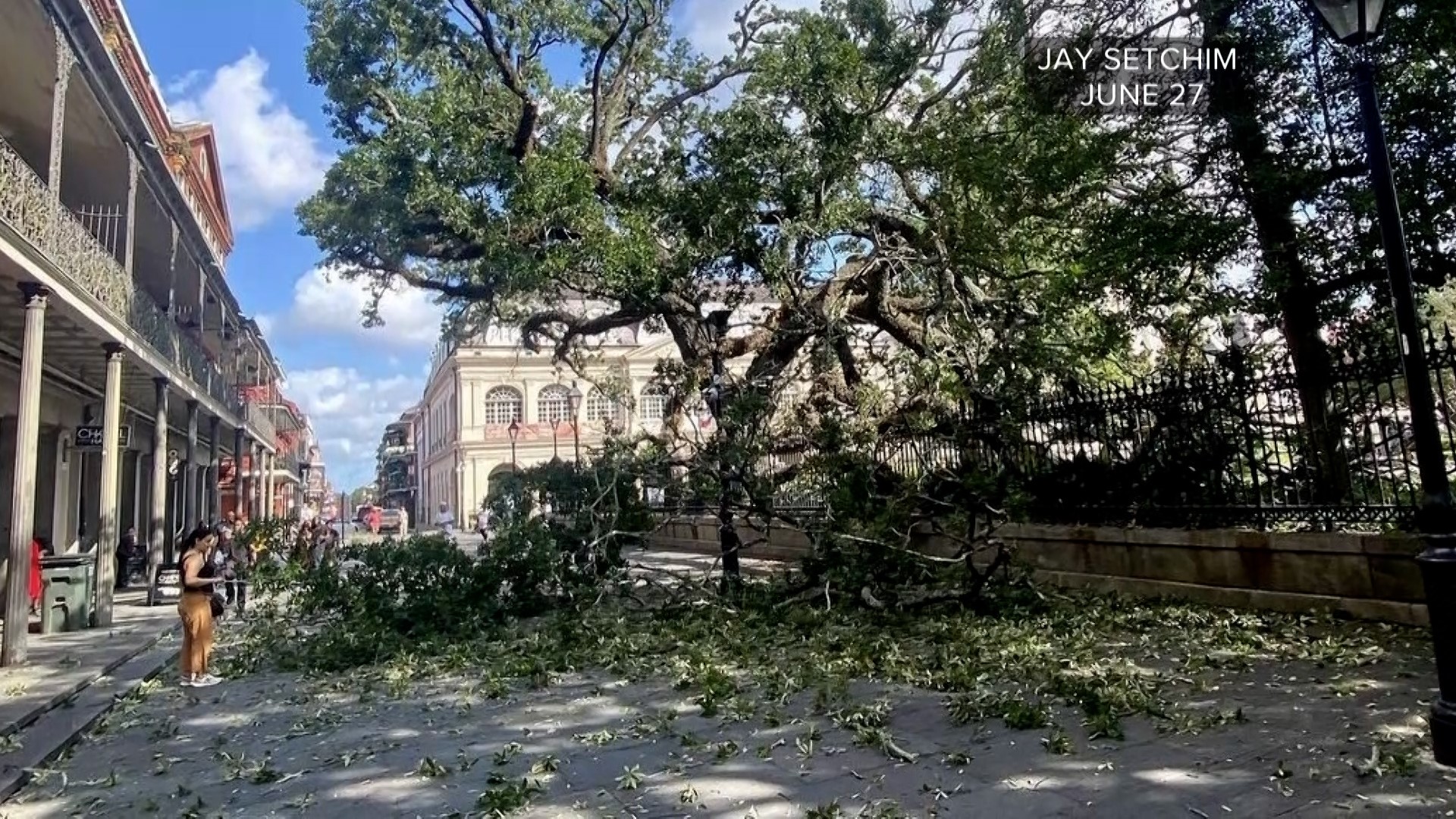 'I had doubts whether he would make it': Eyewitness details seeing tree ...