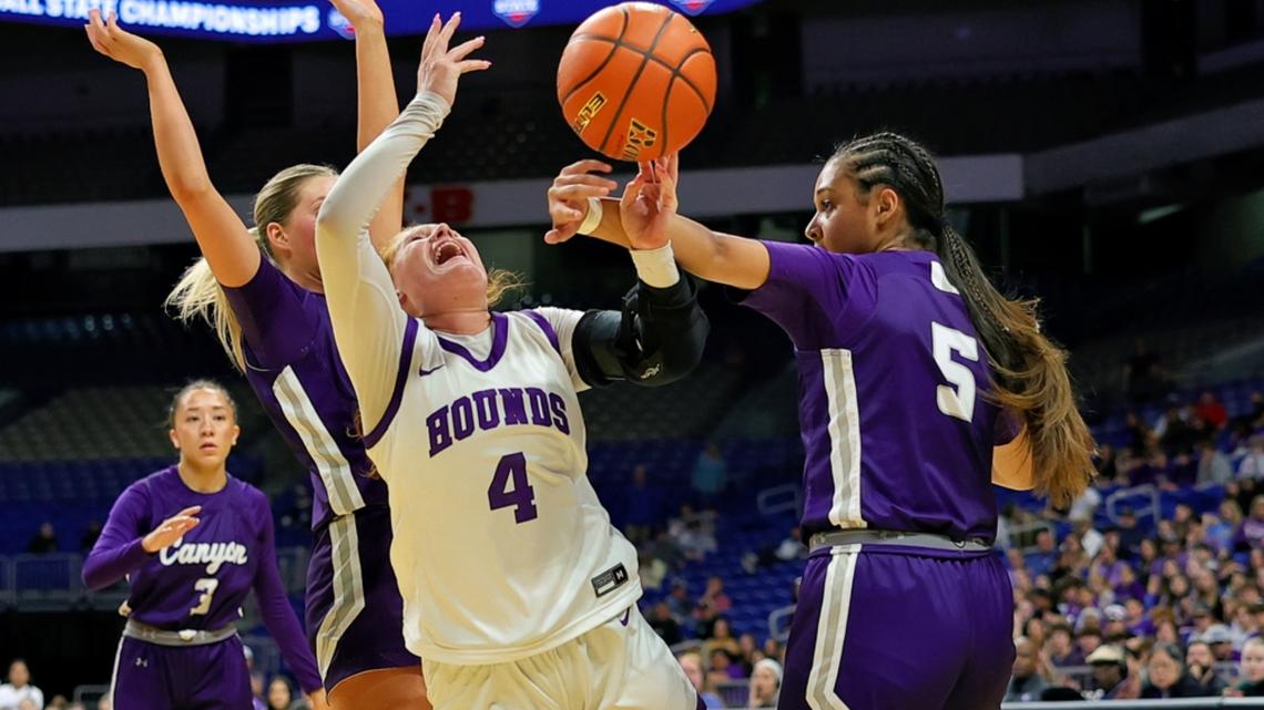 Texas Girls Basketball: Boerne Greyhounds lose in 4A state semis ...
