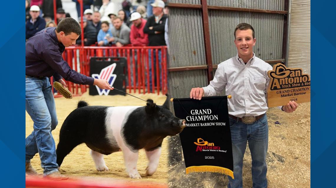 Medina Valley freshman wins Grand Champion San Antonio Livestock Show ...