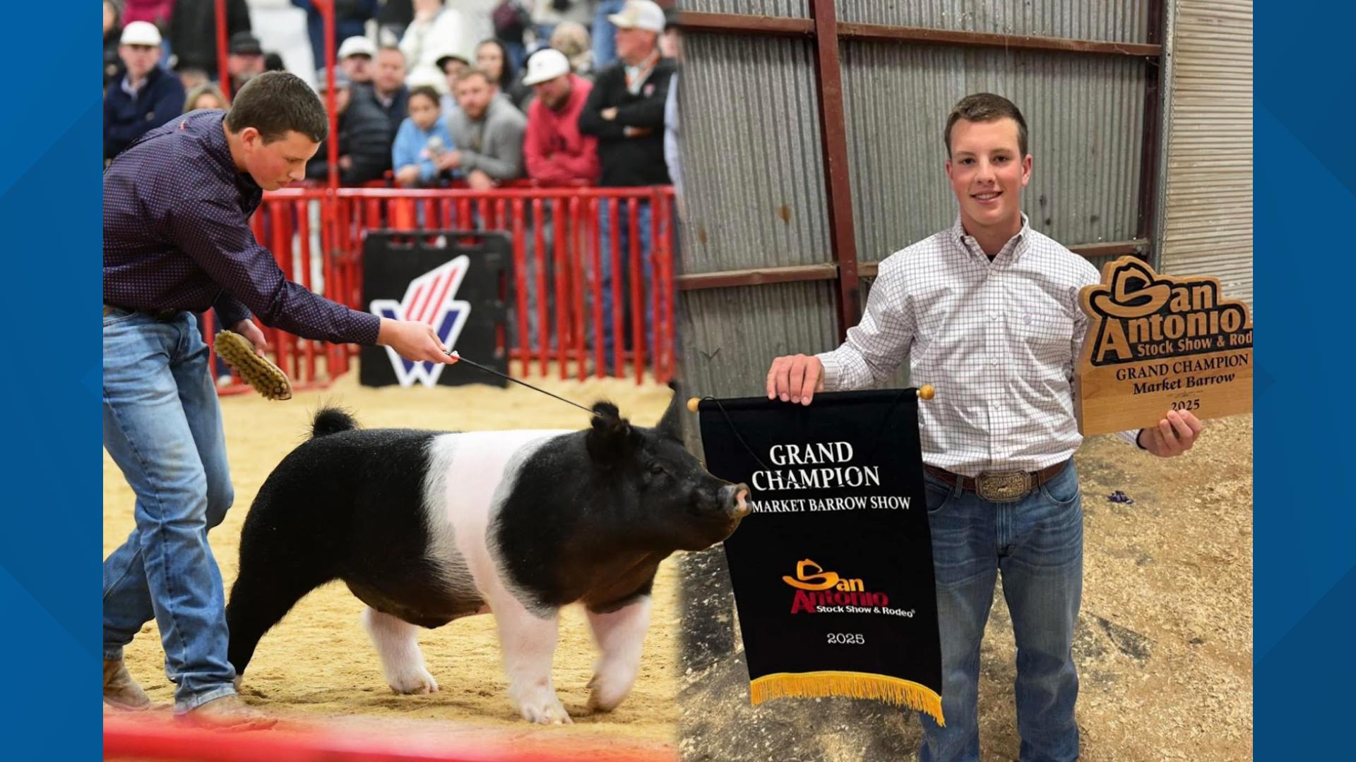 Medina Valley freshman wins Grand Champion San Antonio Livestock Show ...