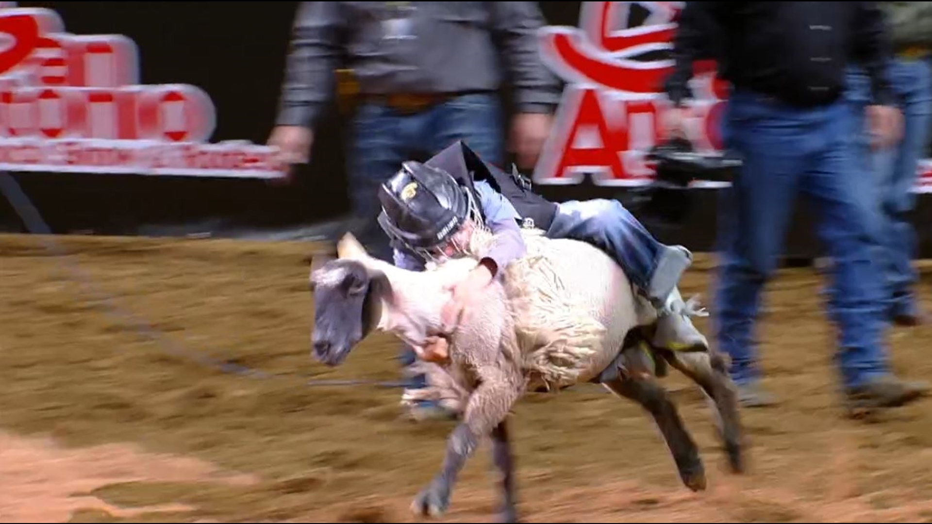 Mutton Bustin' Competition | San Antonio Rodeo | Feb. 6, 2025 | kens5.com