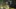 Murder investigation underway after young man stabs his grandmother in ...