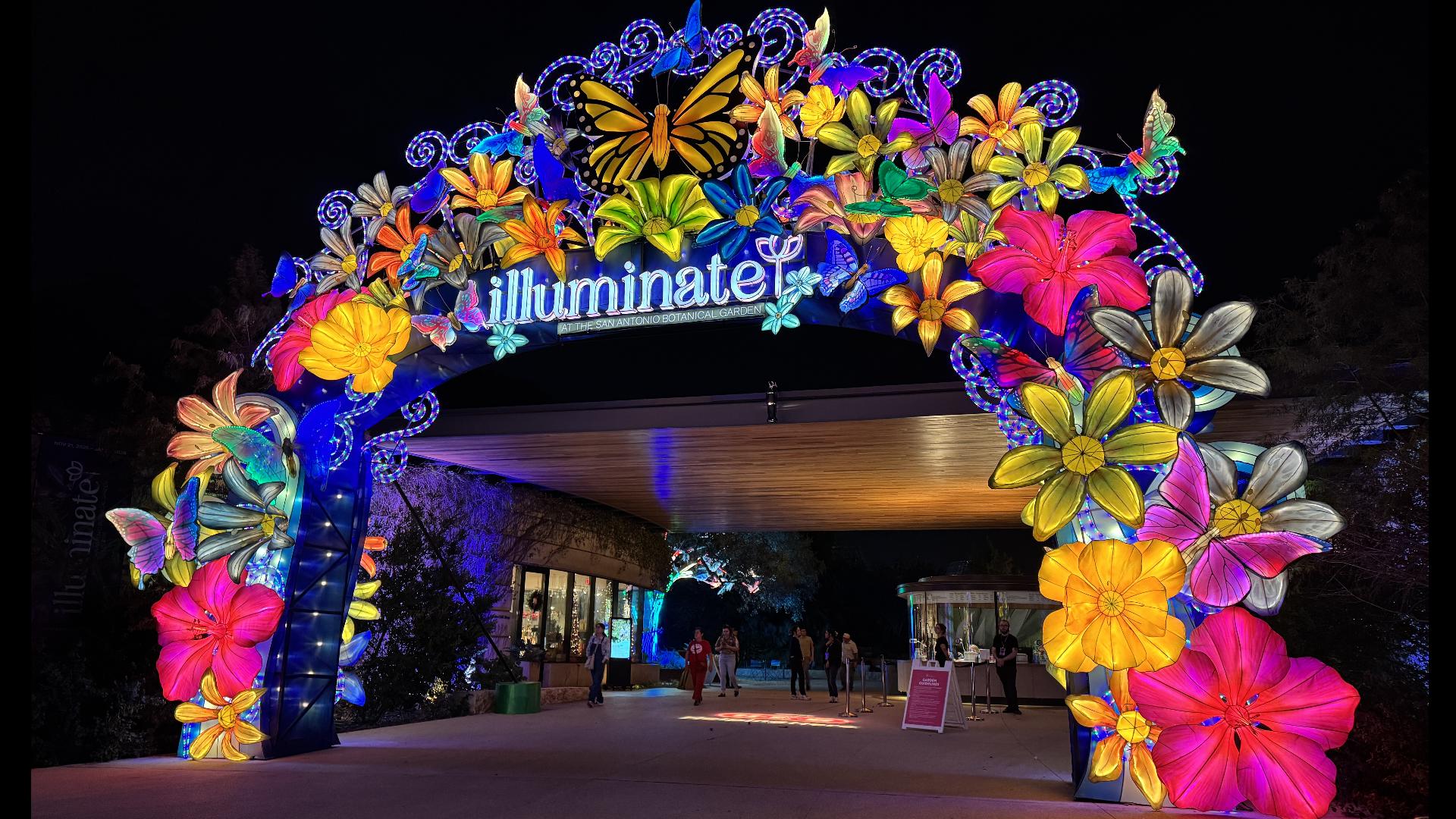 Illuminate returns with new glow as San Antonio Botanical Garden teases ...