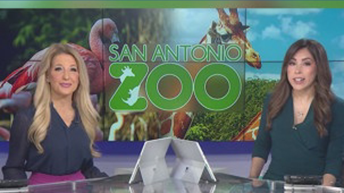 Cry Me a Cockroach: San Antonio Zoo turns your ex into a snack for the ...