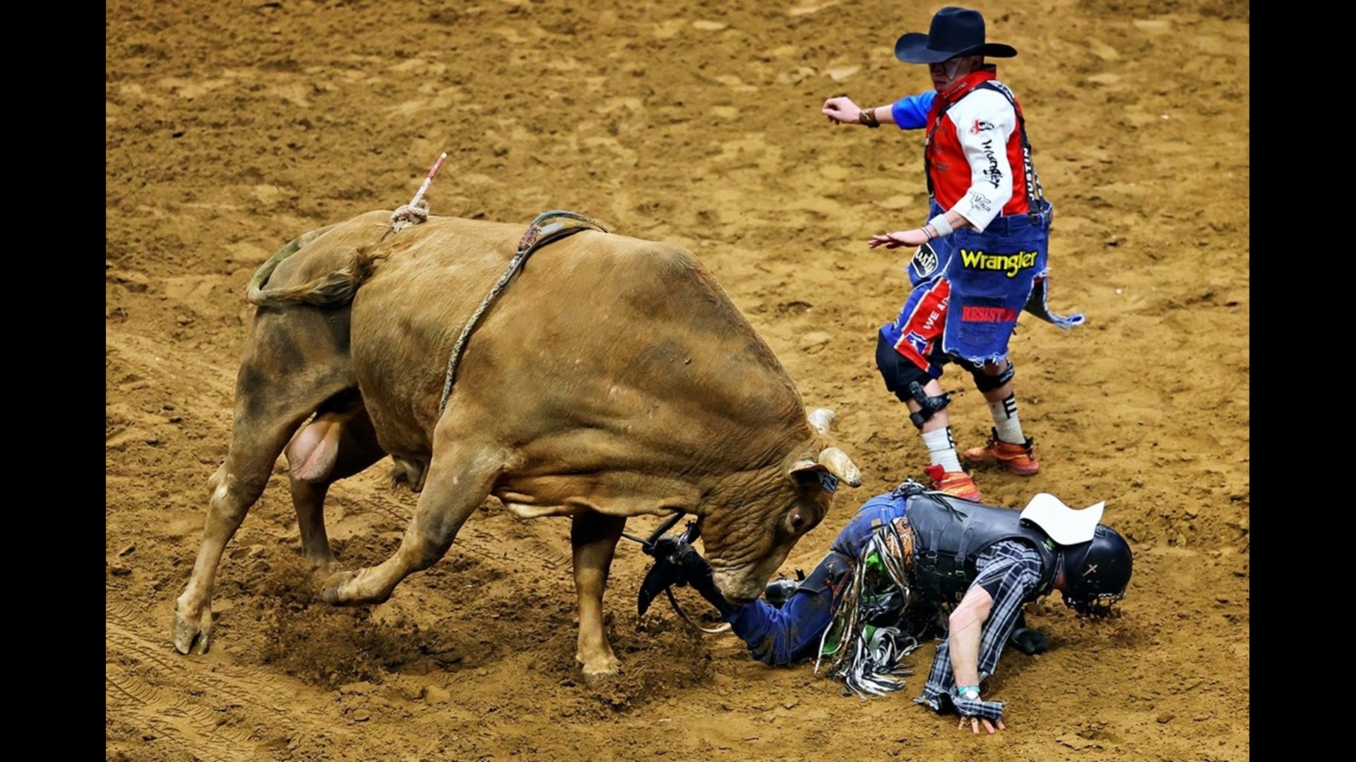 Complete guide to San Antonio Stock Show and Rodeo | kens5.com