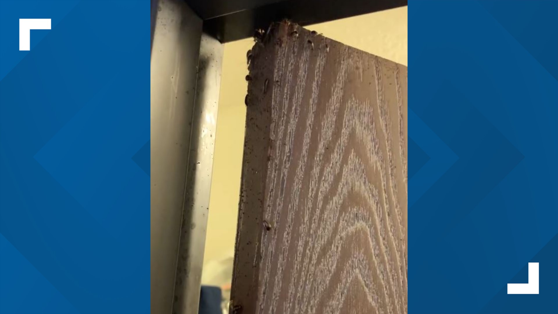 'Rage is the easiest way I can explain it' | San Antonio man finds ...