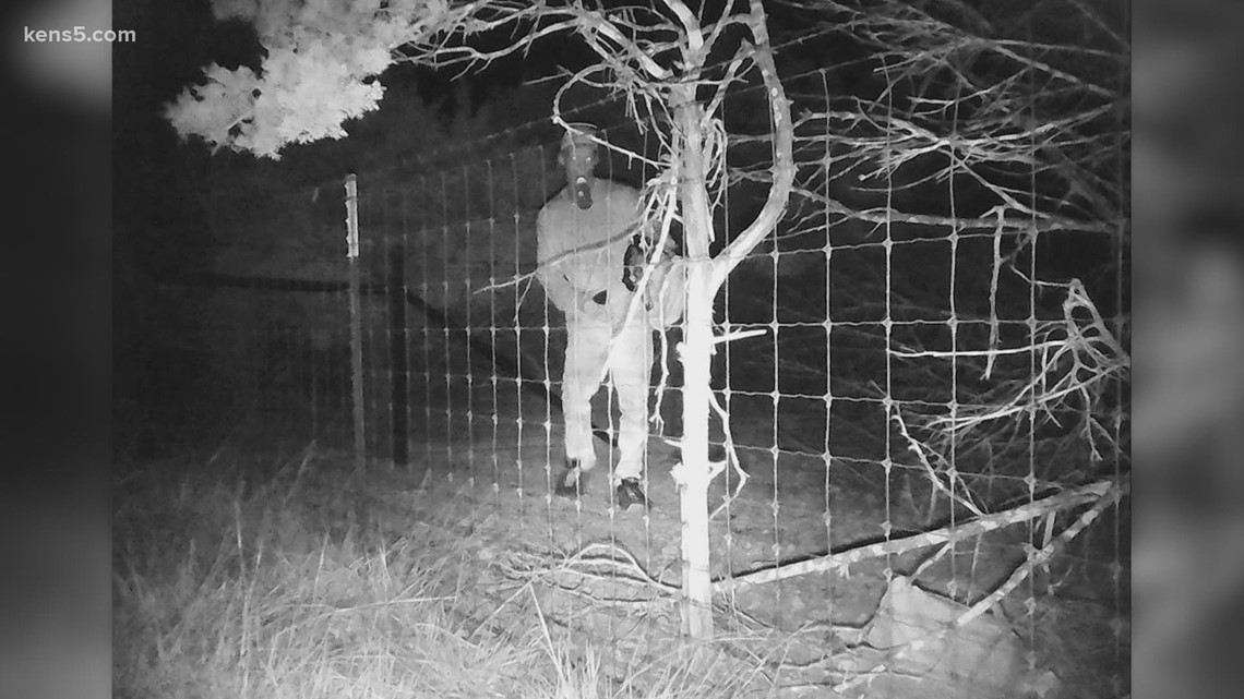 Grand Theft Goat: Authorities arrest man who allegedly stole goats and ...