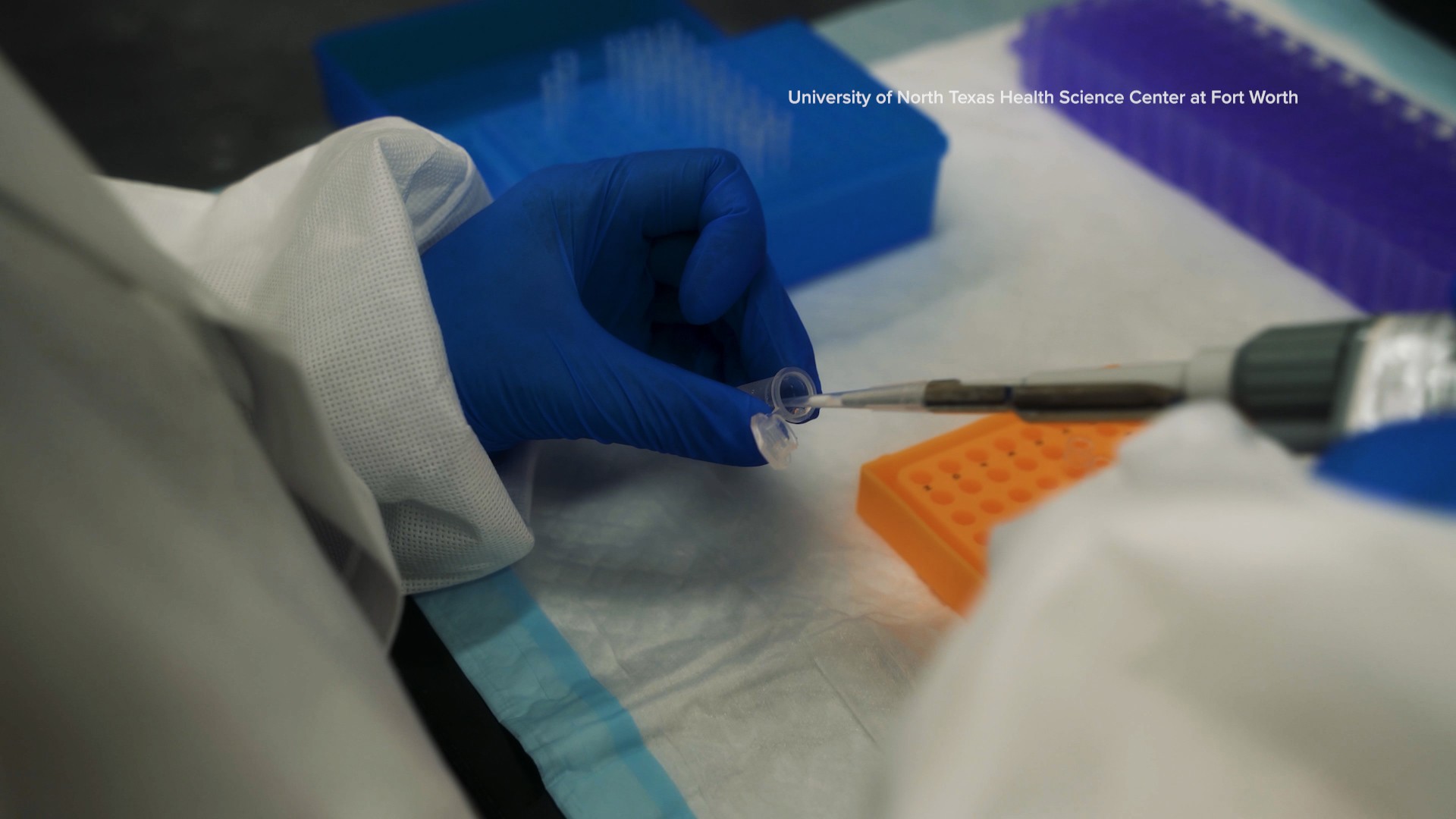 How DNA helped identify Kerrville, Texas flood victims | kens5.com