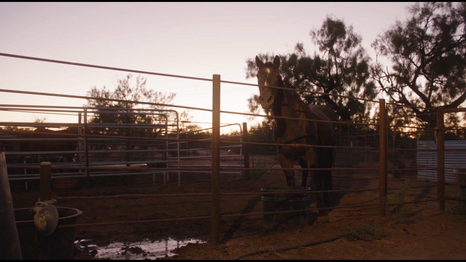 Flow of migrants keeps Texas border ranch family on its toes | kens5.com