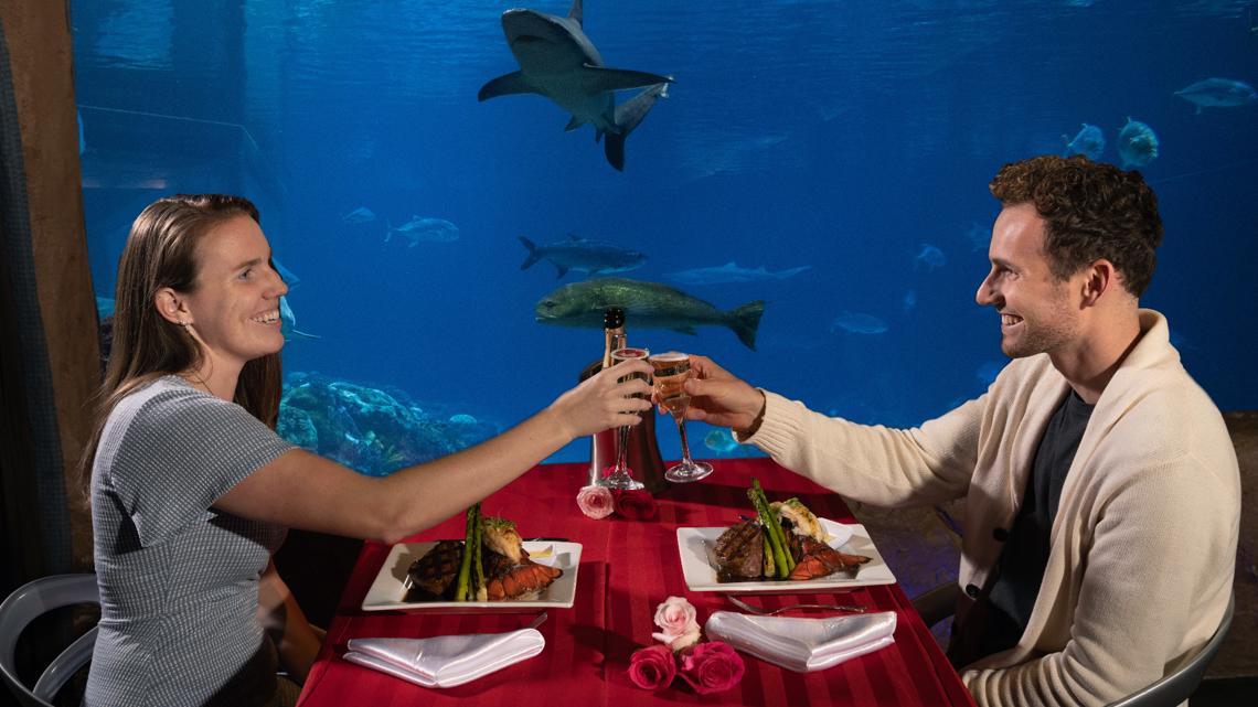 SeaWorld offers special Valentine's dinner event | kens5.com