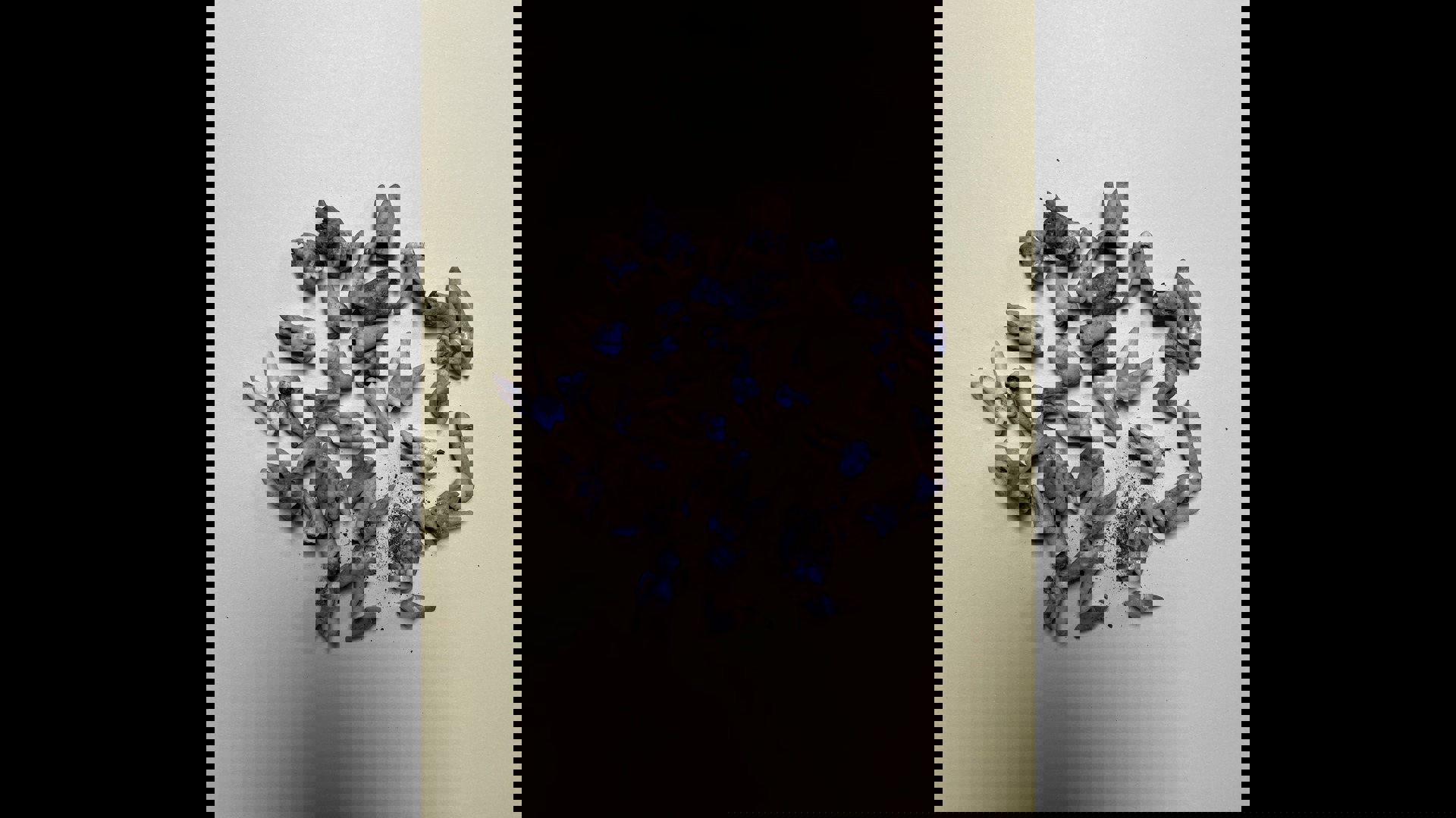 100 teeth found buried in Texas yard deemed 'old-school dental ...