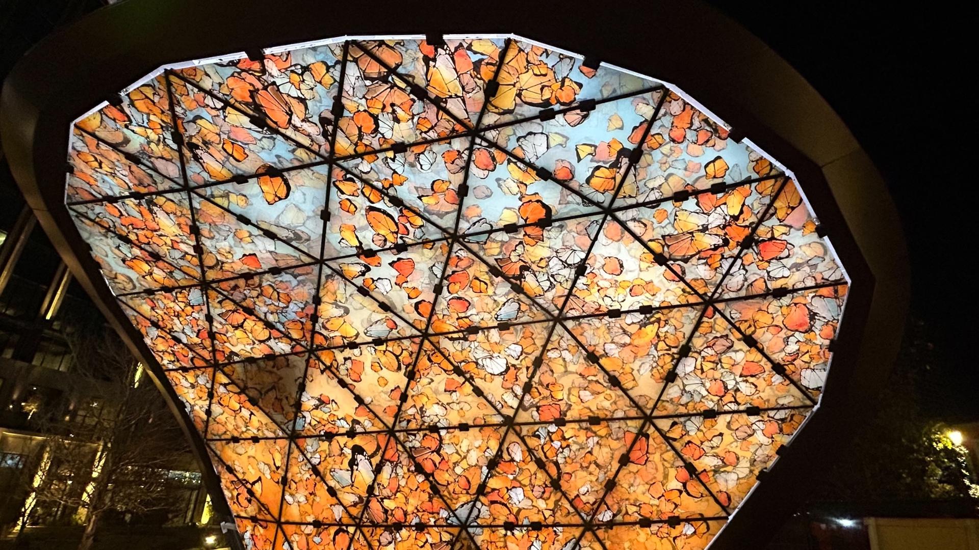 Downtown San Antonio welcomes massive monarch butterfly art ...