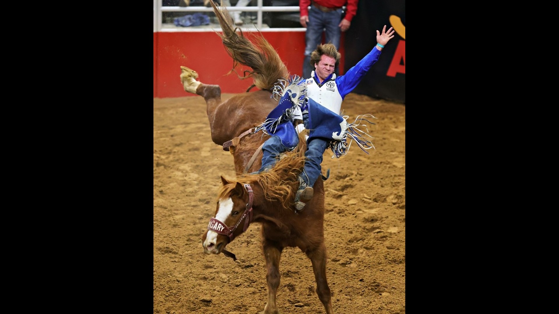 Complete guide to San Antonio Stock Show and Rodeo | kens5.com