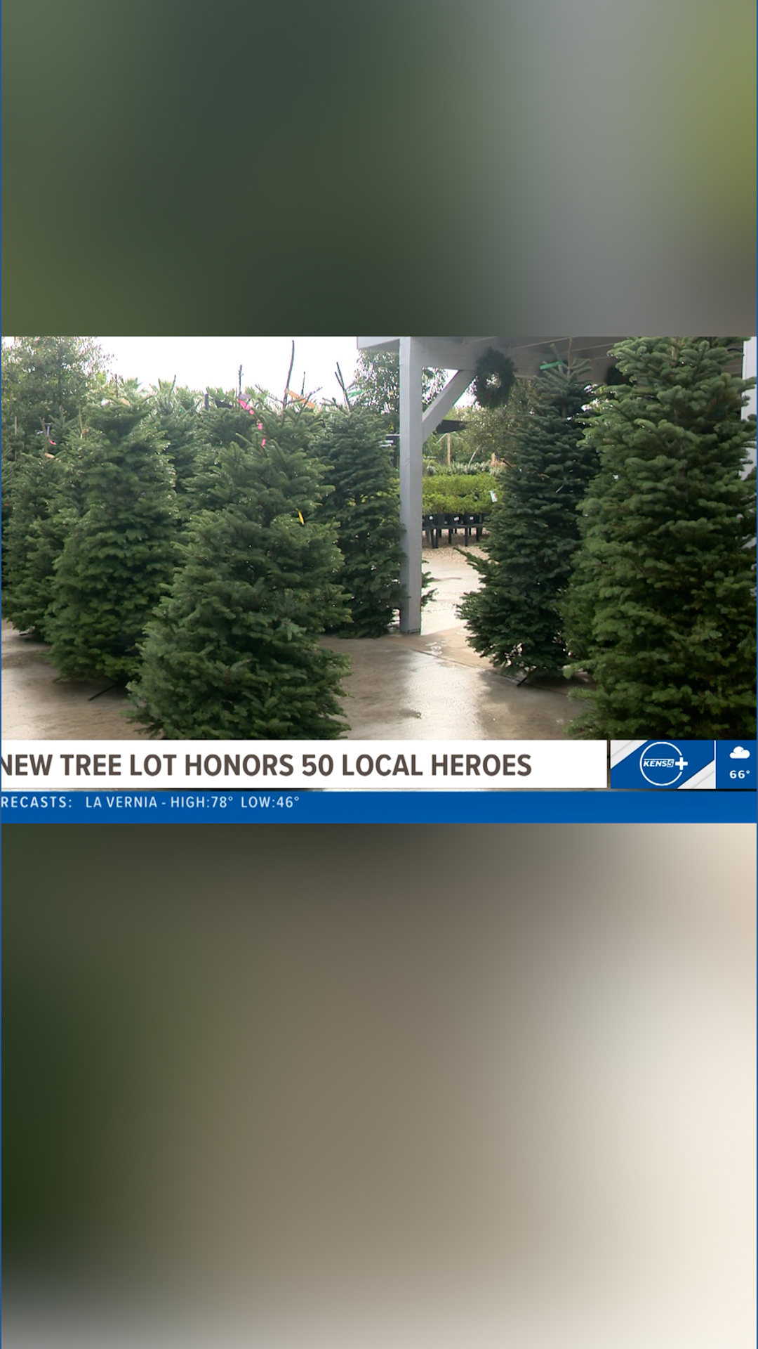 Christmas Trees for Local Heroes | kens5.com