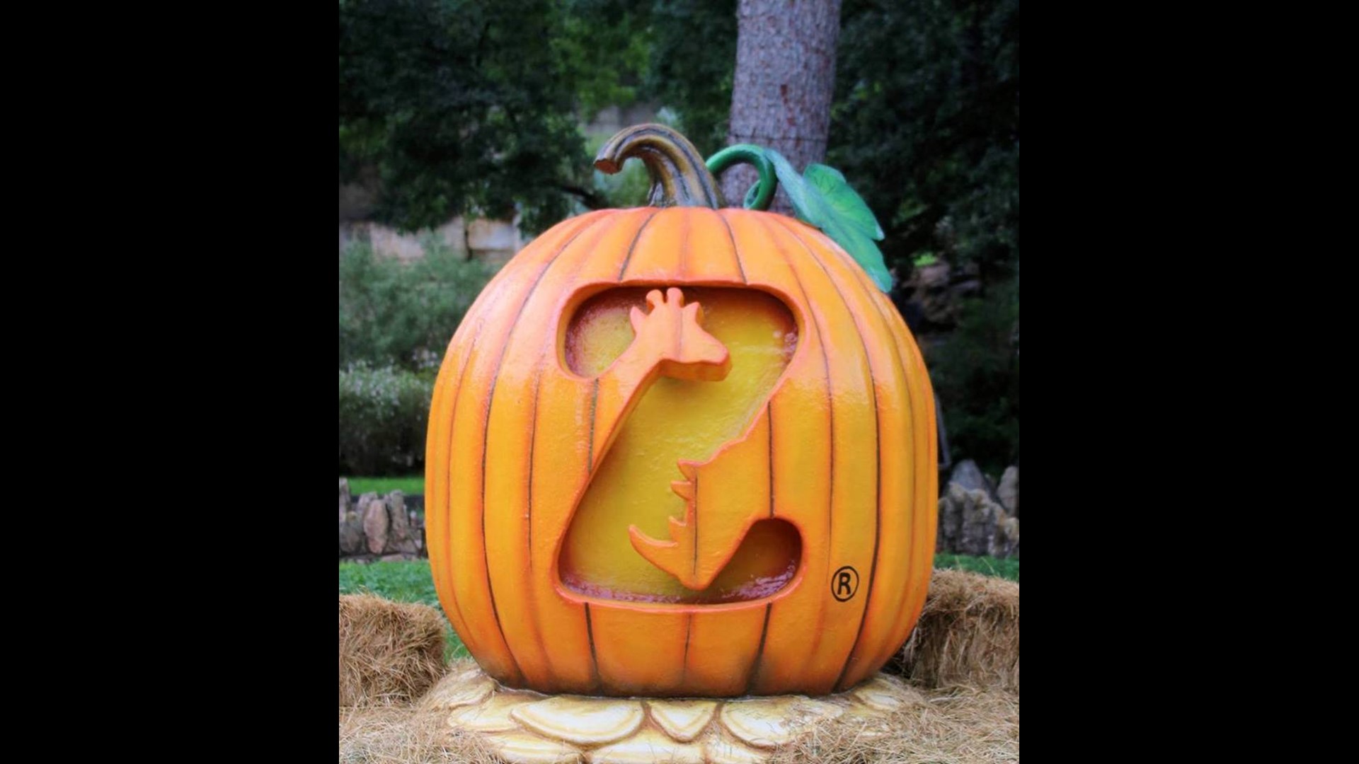 San Antonio Zoo's Halloween event Zoo Boo! starts today | kens5.com