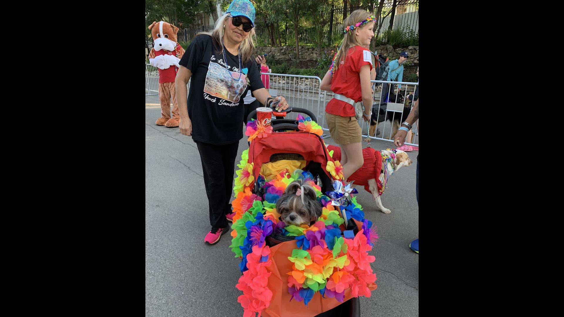 Join the 2025 Fiesta Pooch Parade in San Antonio | kens5.com