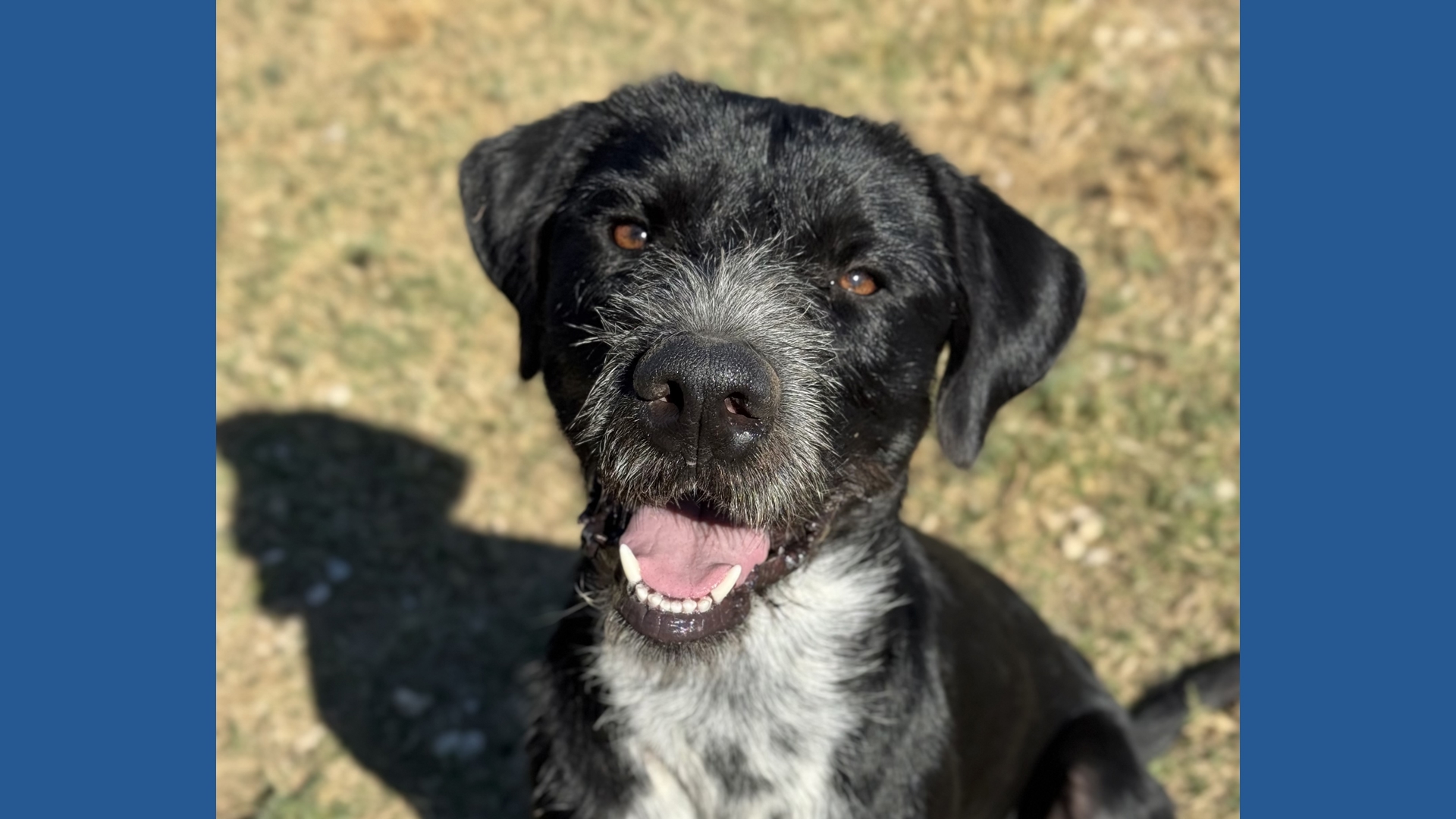 Enzo has spent 7 months waiting for someone to choose him | Forgotten ...