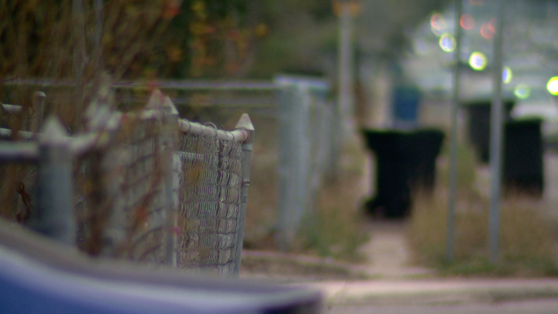 Neighbors warn of repeated dog attacks in San Antonio's Highland Park ...