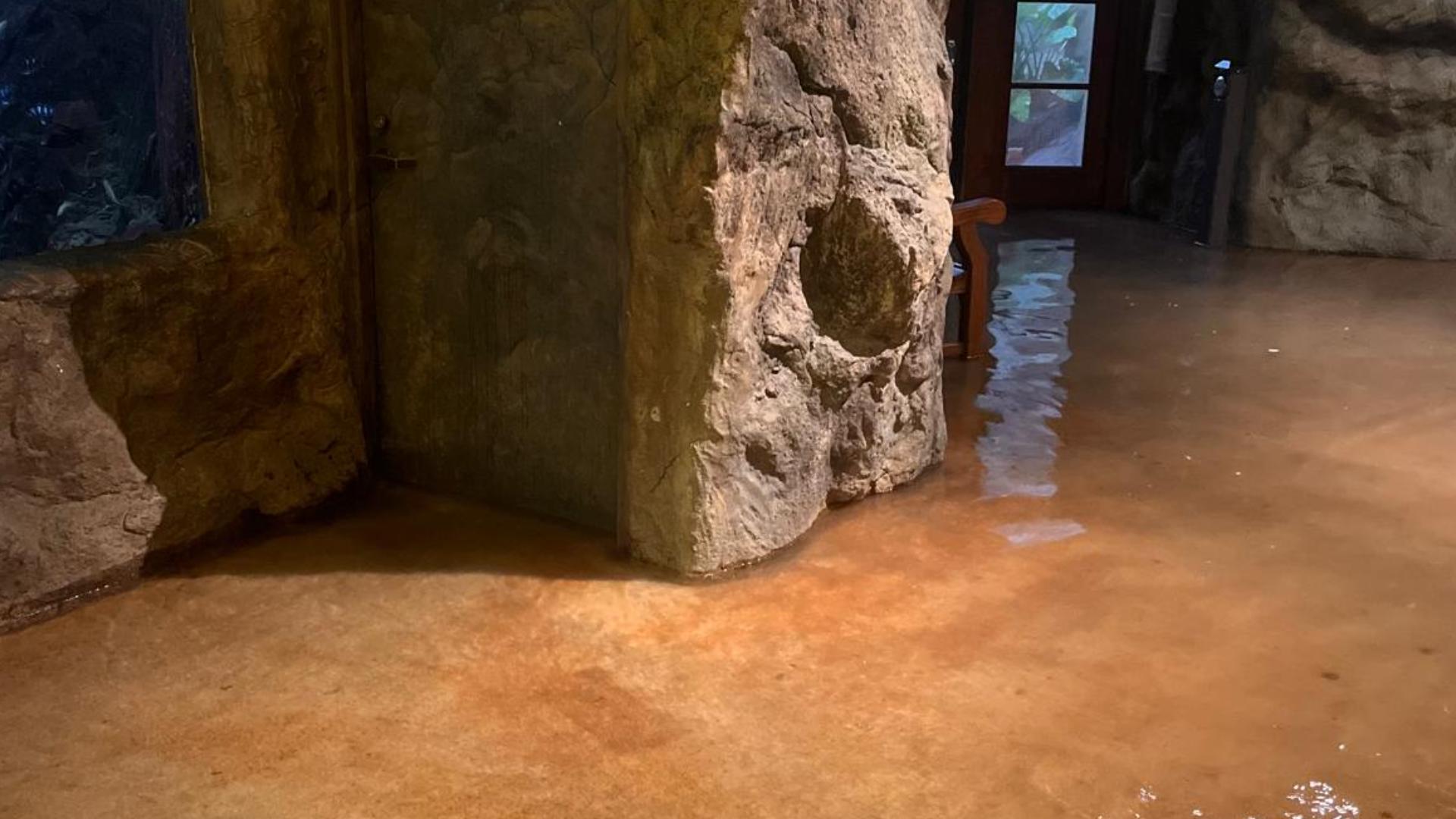 Zoo reopens after Tuesday's flooding, needs your help | kens5.com