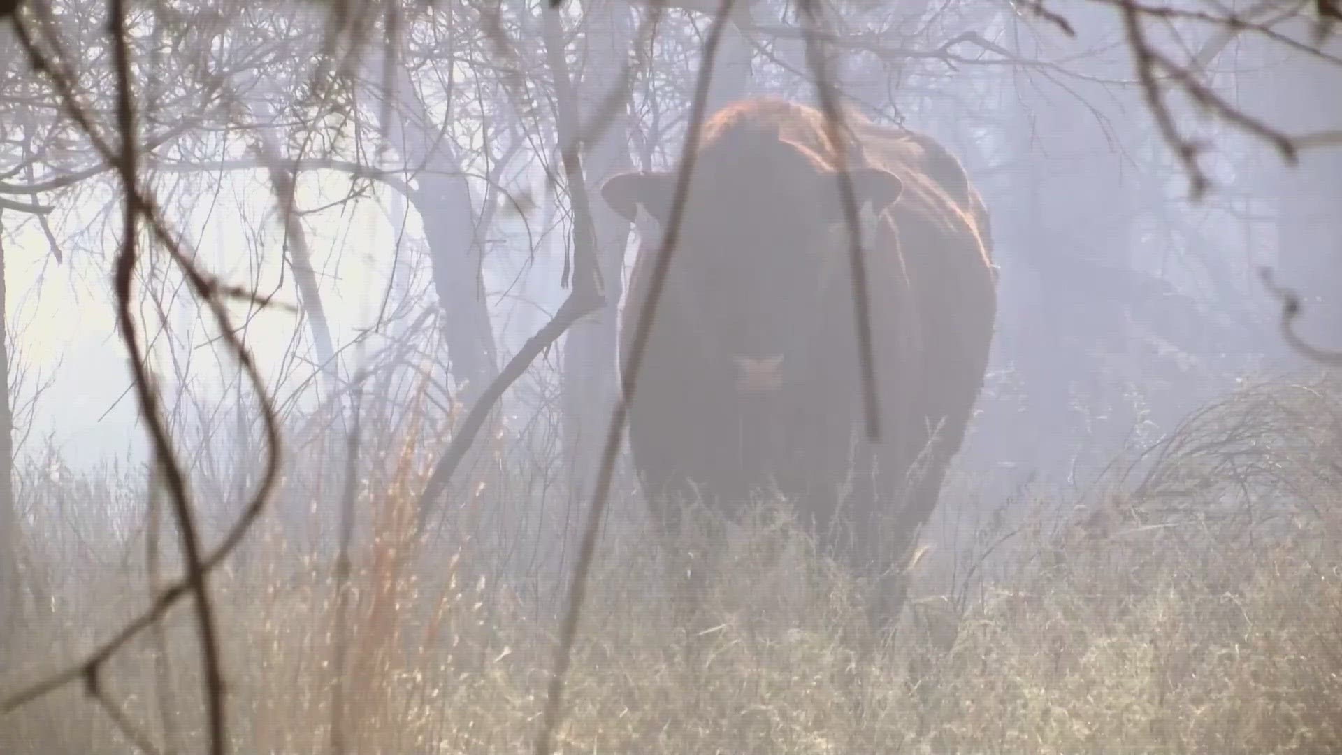 Fire crews in Canadian, Texas fight spot fire as massive fires continue ...