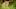 Wild fox tests positive for rabies in Atascosa County; two people ...