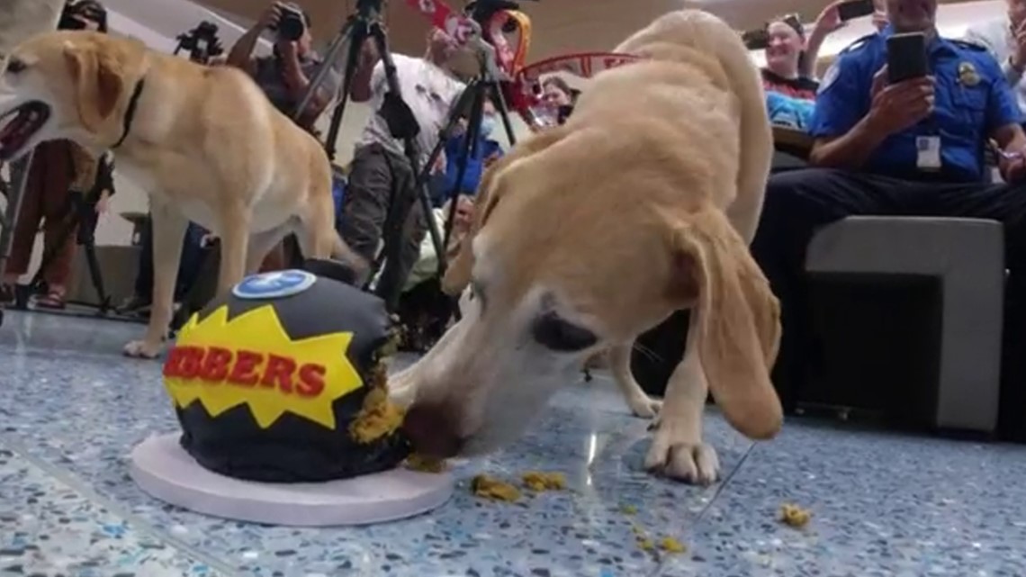 TSA's cutest bomb detector retires | kens5.com