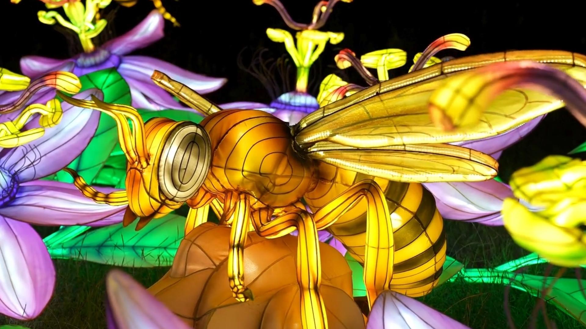 San Antonio Botanical Garden kicking off holiday season with Illuminate ...