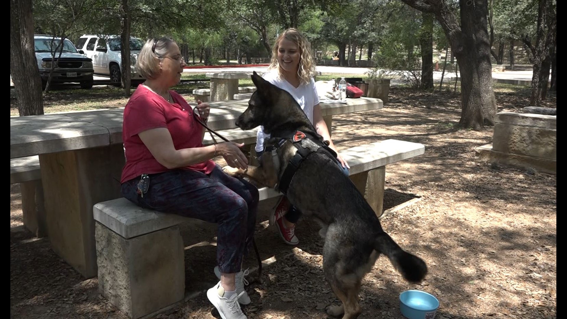 'Tails of the Alamo City' First-of-its-kind guide to benefit military ...