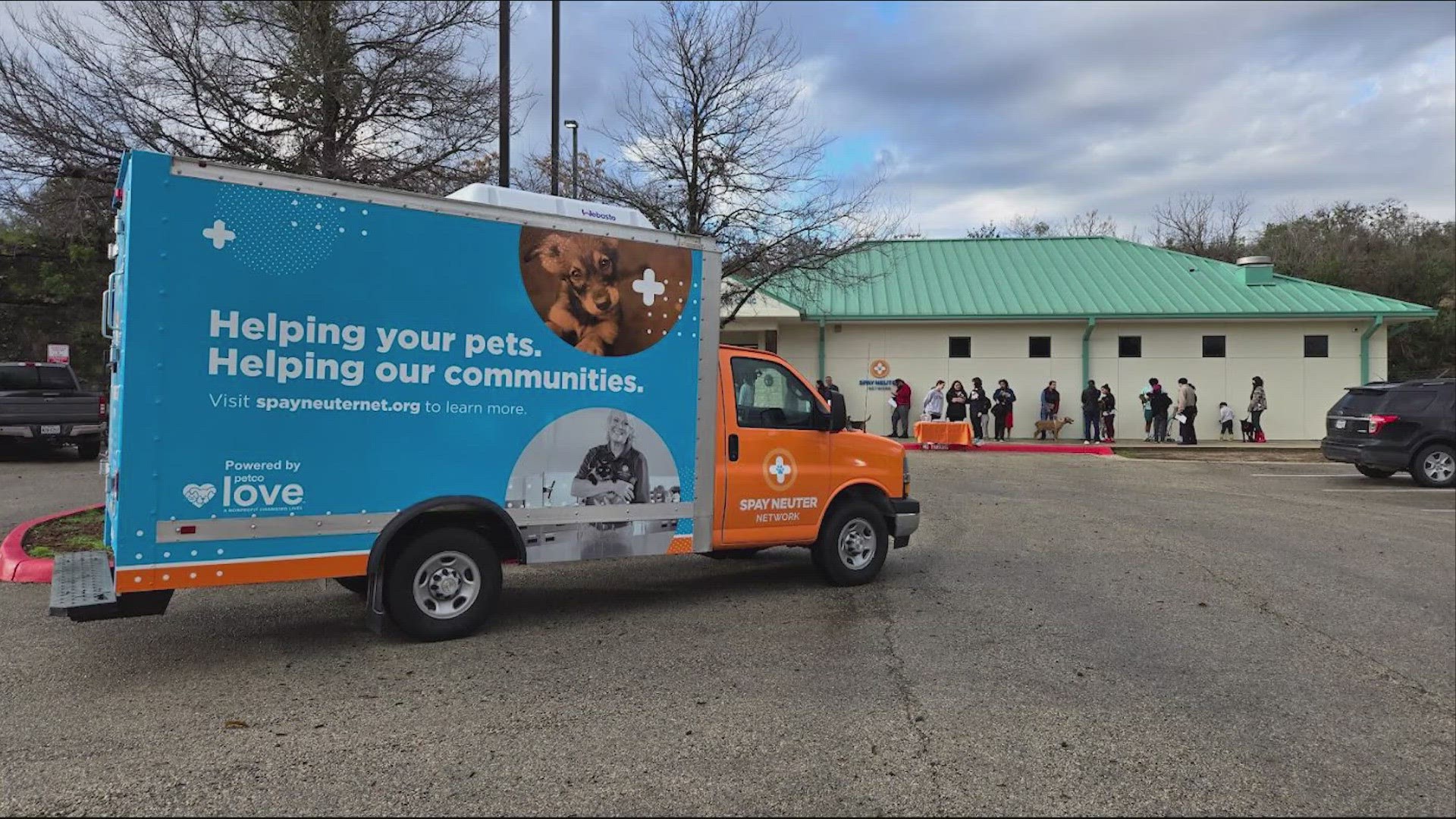 New transport service will help San Antonio pet owners get animals ...