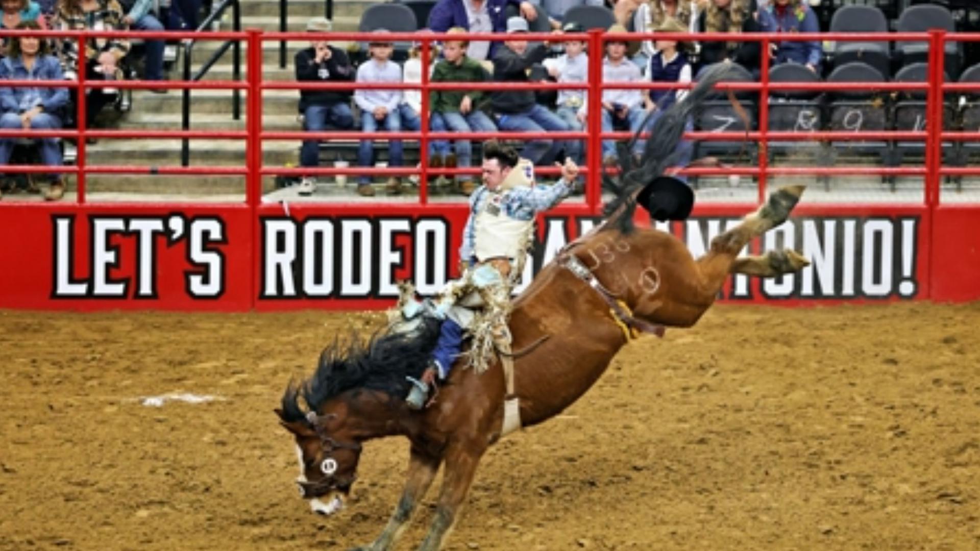 Saddle up for competition, concerts and a carnival: Full guide to the ...