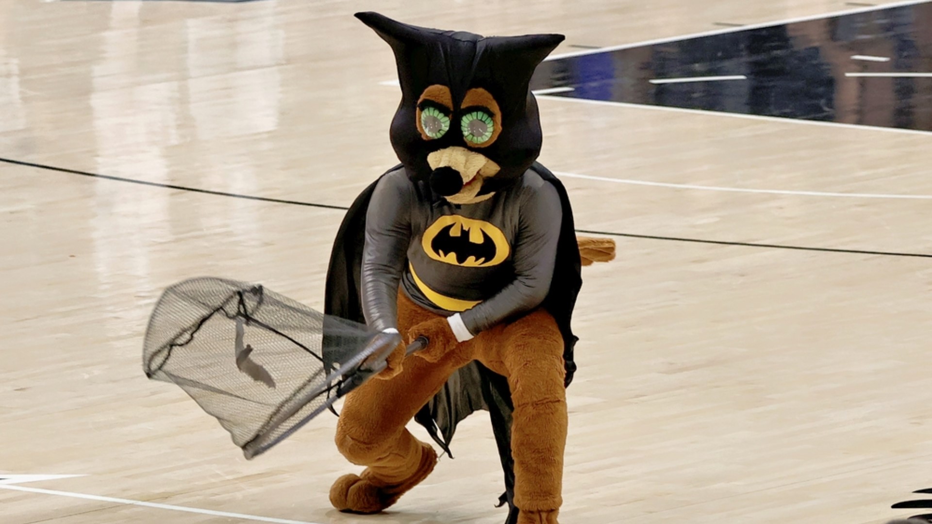 Bat stoppage at Spurs games ends with mascot saving the day | kens5.com