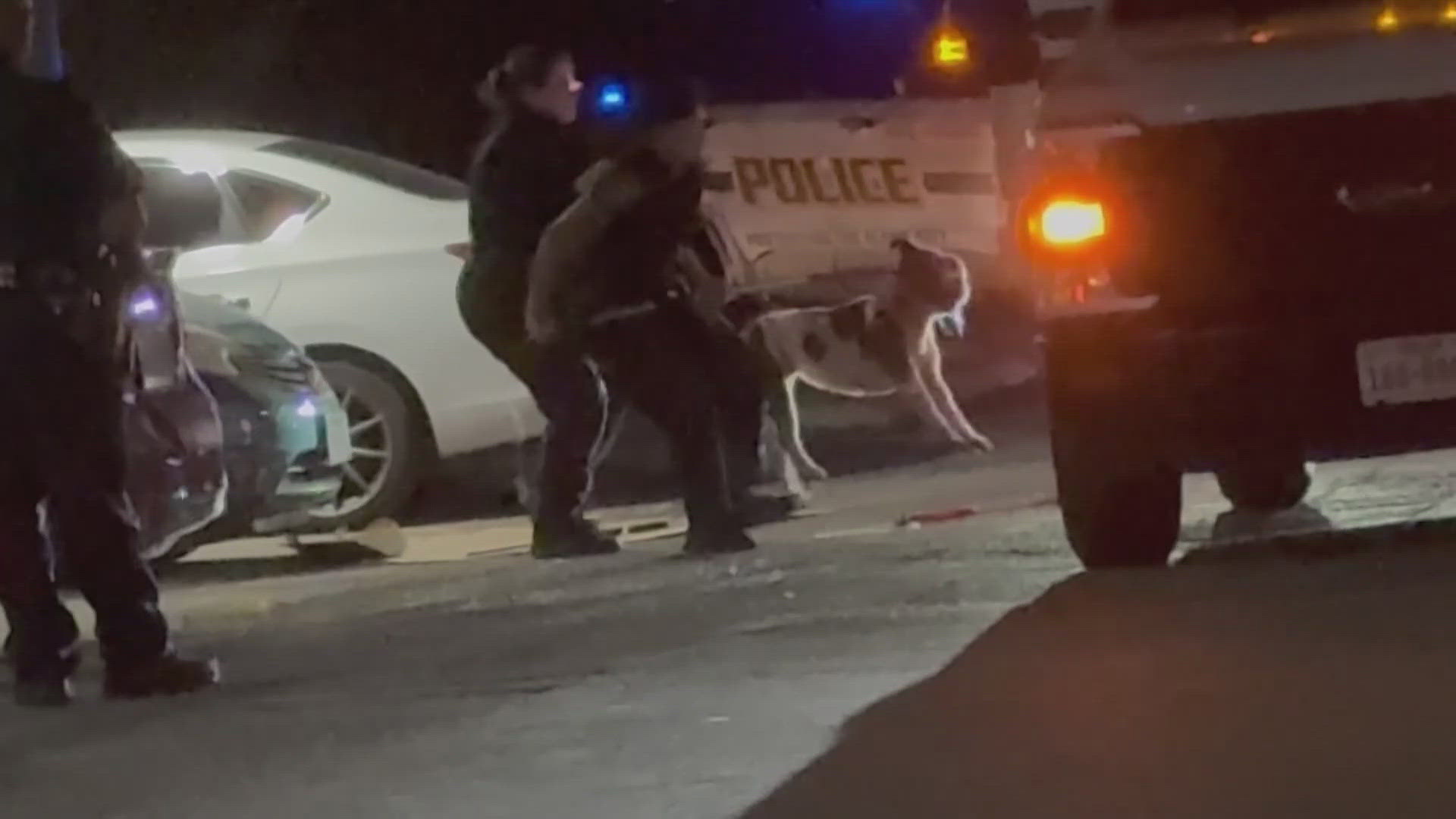 Woman dies after dog attack at San Antonio apartment | kens5.com