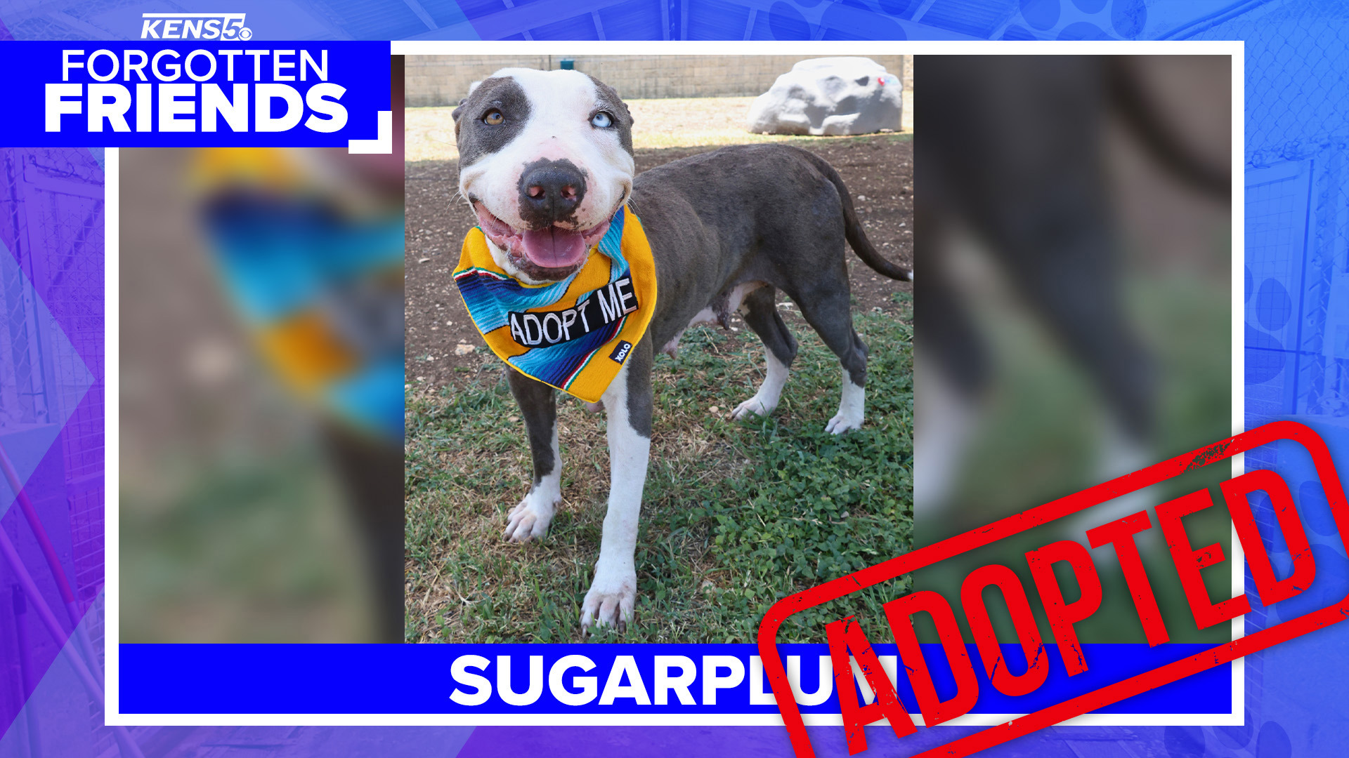 San Antonio's Leading Local News: Weather, Traffic, Sports and more ...