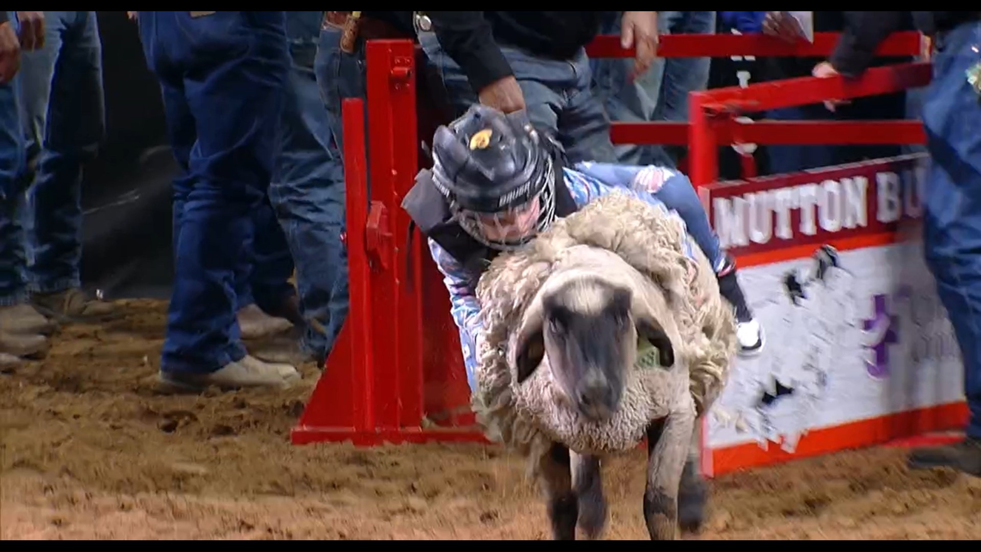 Mutton Bustin' | Feb. 17, 2024 | kens5.com