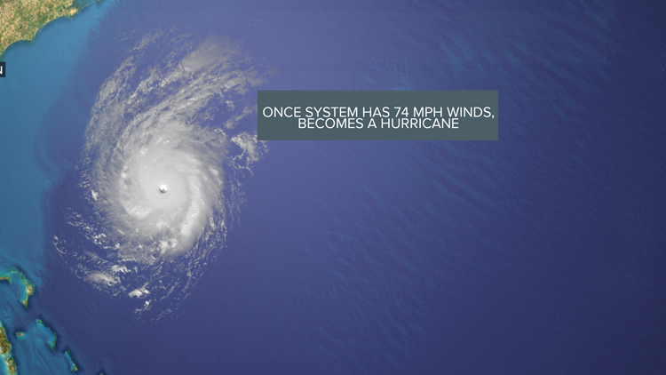 WEATHER MINDS CLASSROOM: Tropical Cyclones 101 | kens5.com
