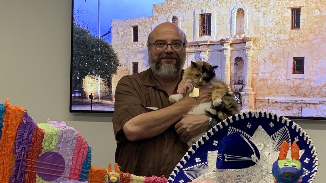 Celebrate Alamo Cat Bella's 10th Birthday with Fiesta Medal | kens5.com