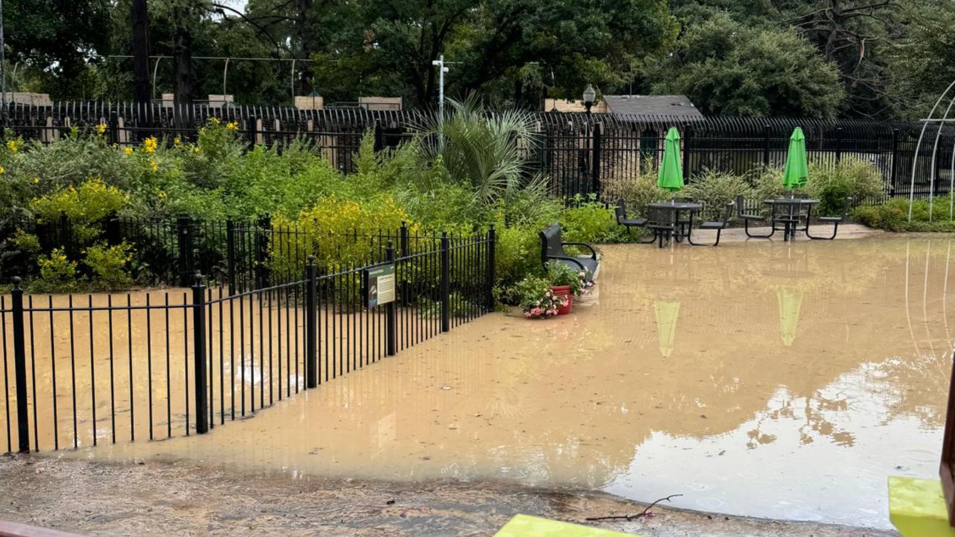 Zoo reopens after Tuesday's flooding, needs your help | kens5.com