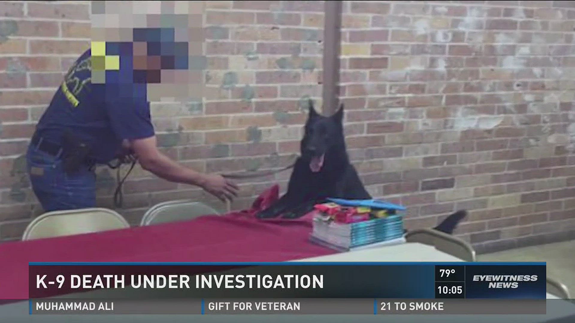 Sheriff's deputy investigated for death of K-9 companion | kens5.com