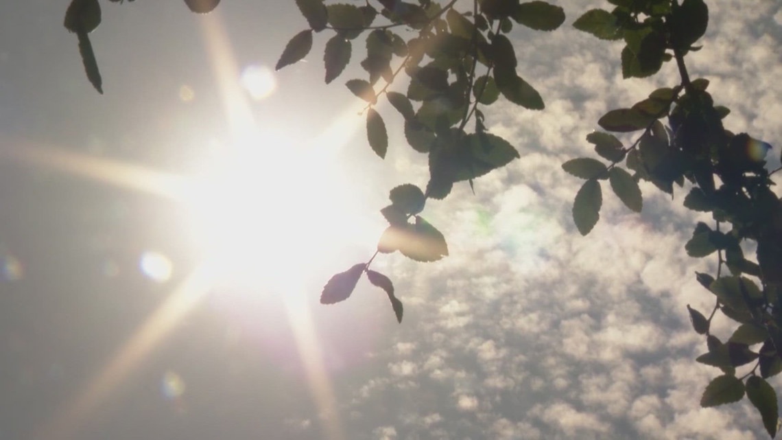 Researchers point to infrastructure and lack of shade, greenery as ...