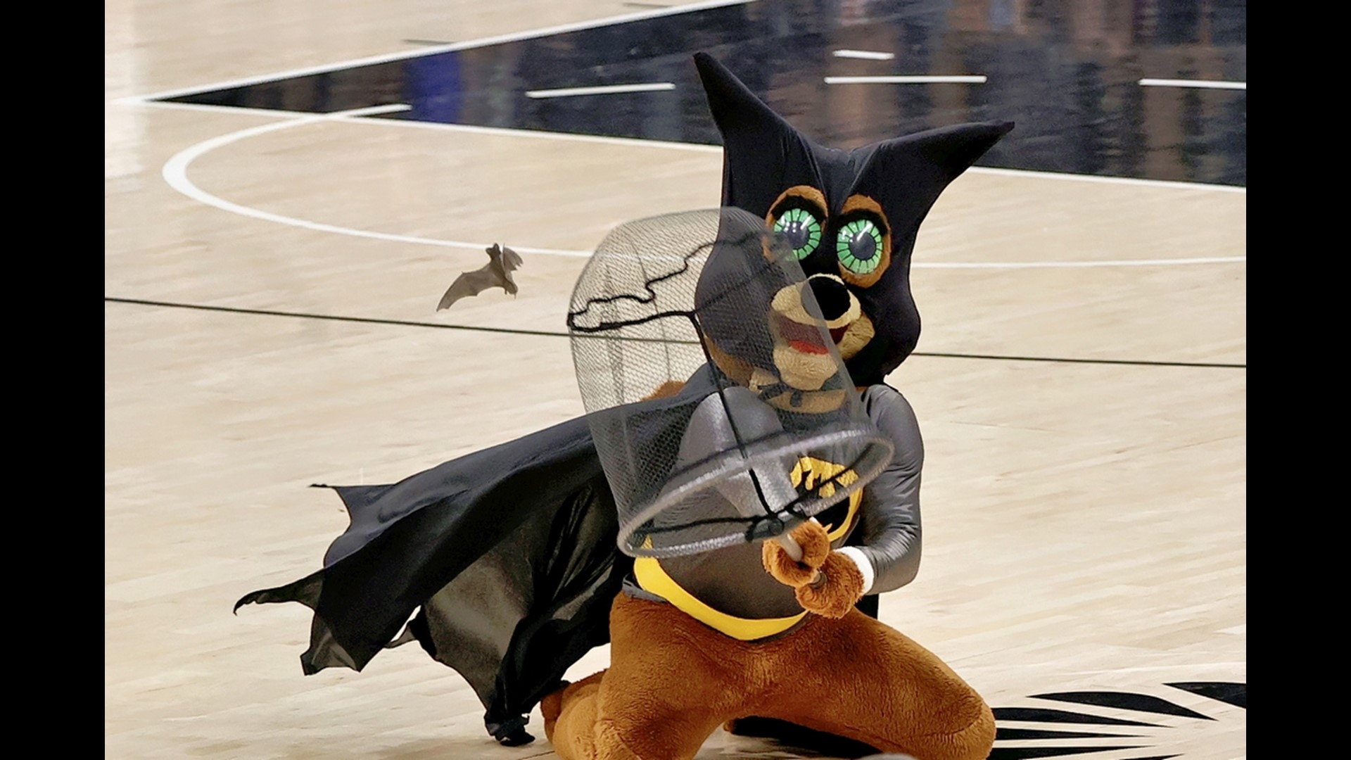 Bat stoppage at Spurs games ends with mascot saving the day | kens5.com